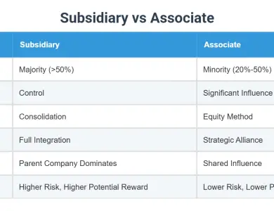 Subsidiary vs Division