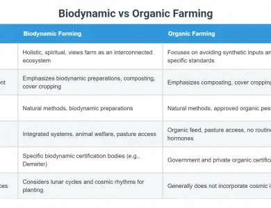 Agriculture vs Farming: Key Distinctions