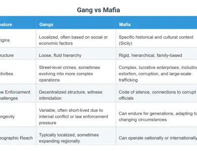 Exploring the Key Differences Between Mob and Mafia