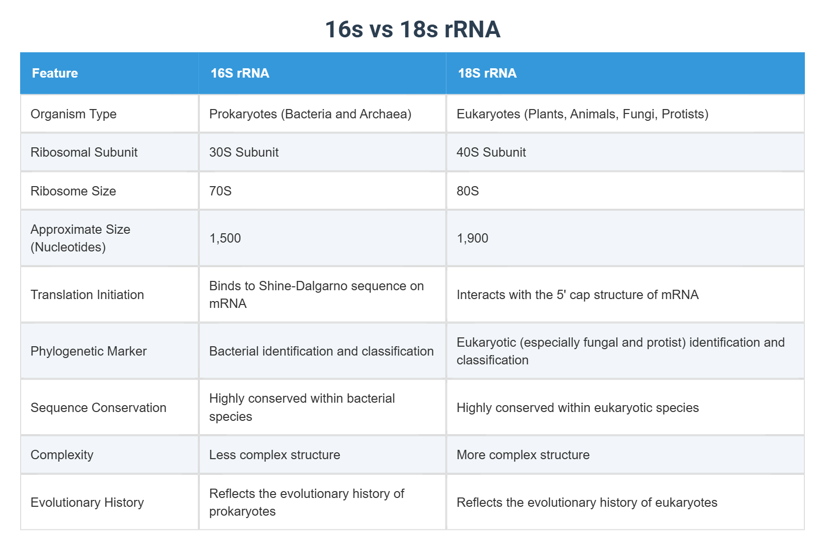 16s vs 18s rRNA