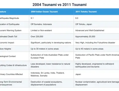 Earthquake vs Tsunami: Key Differences Explained