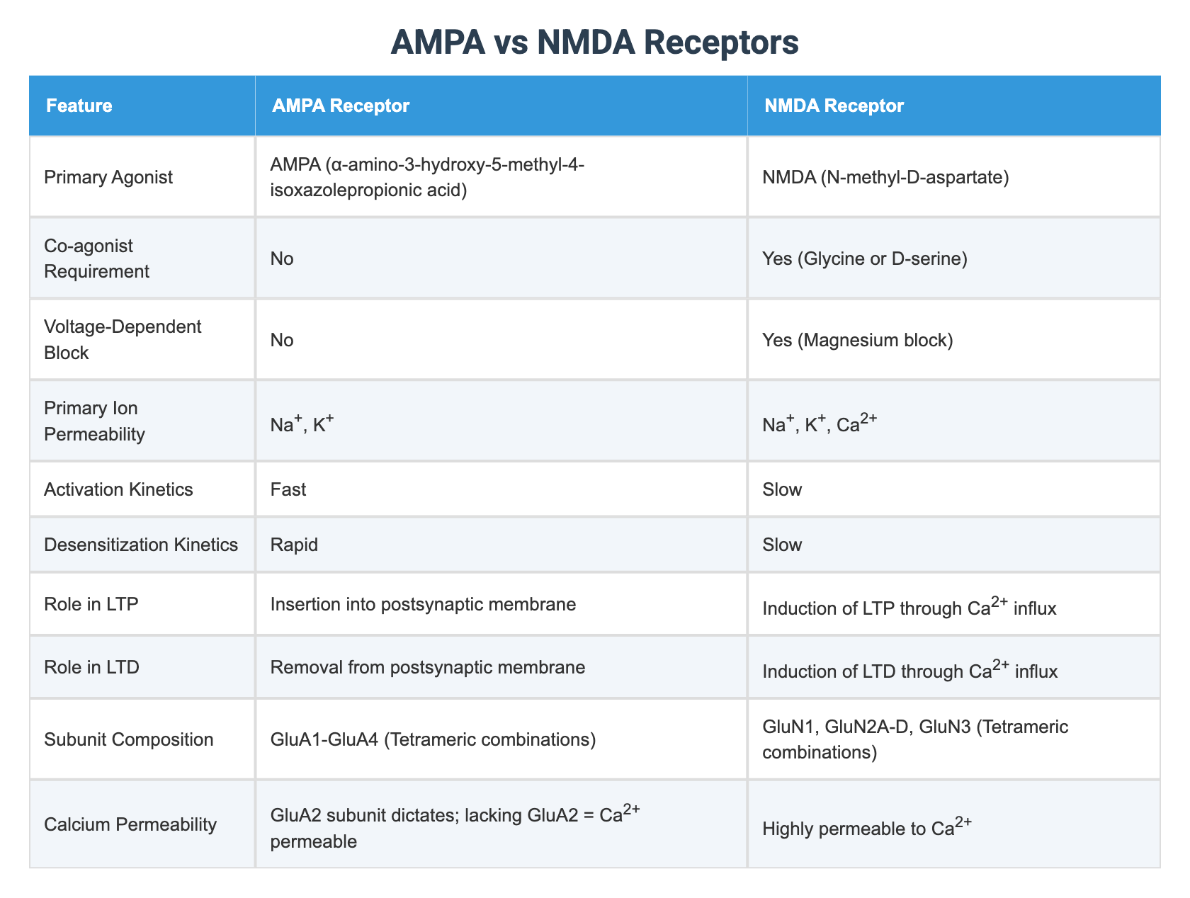 AMPA vs NMDA Receptors