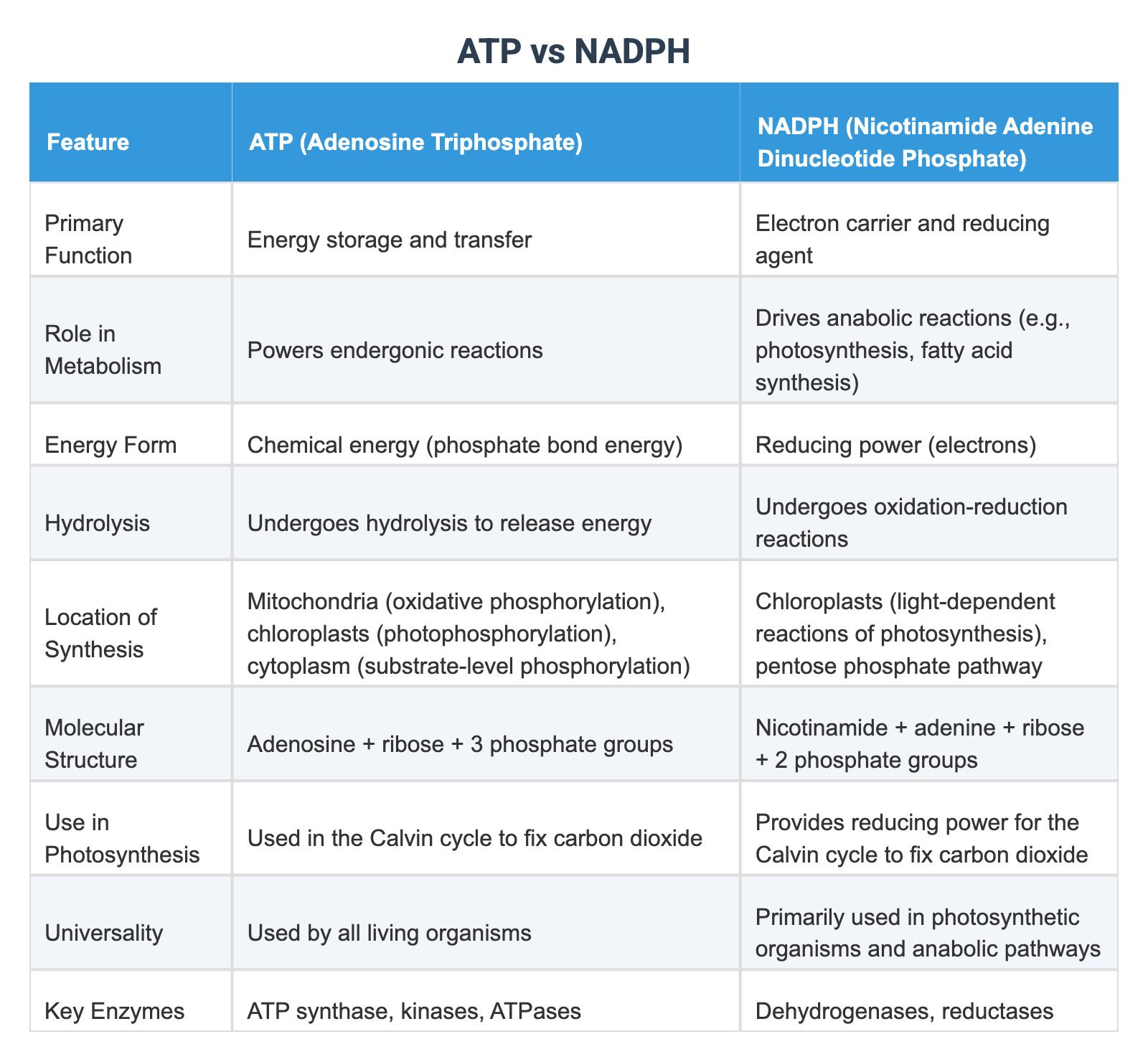 ATP vs NADPH