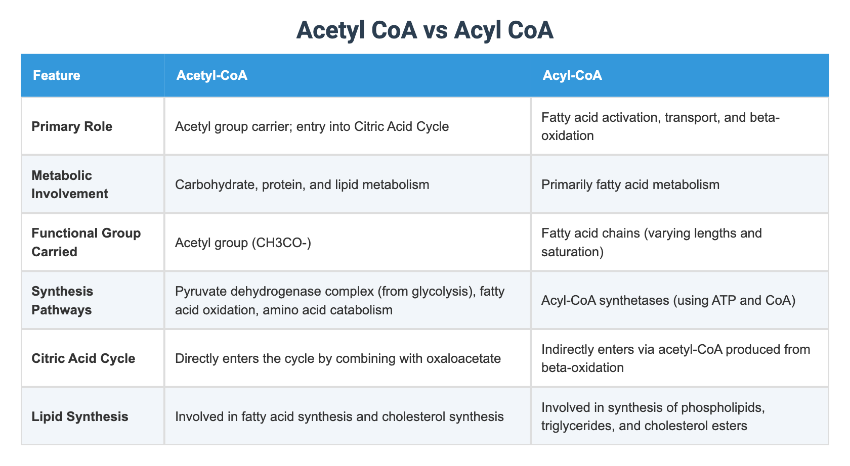 Acetyl CoA vs Acyl CoA