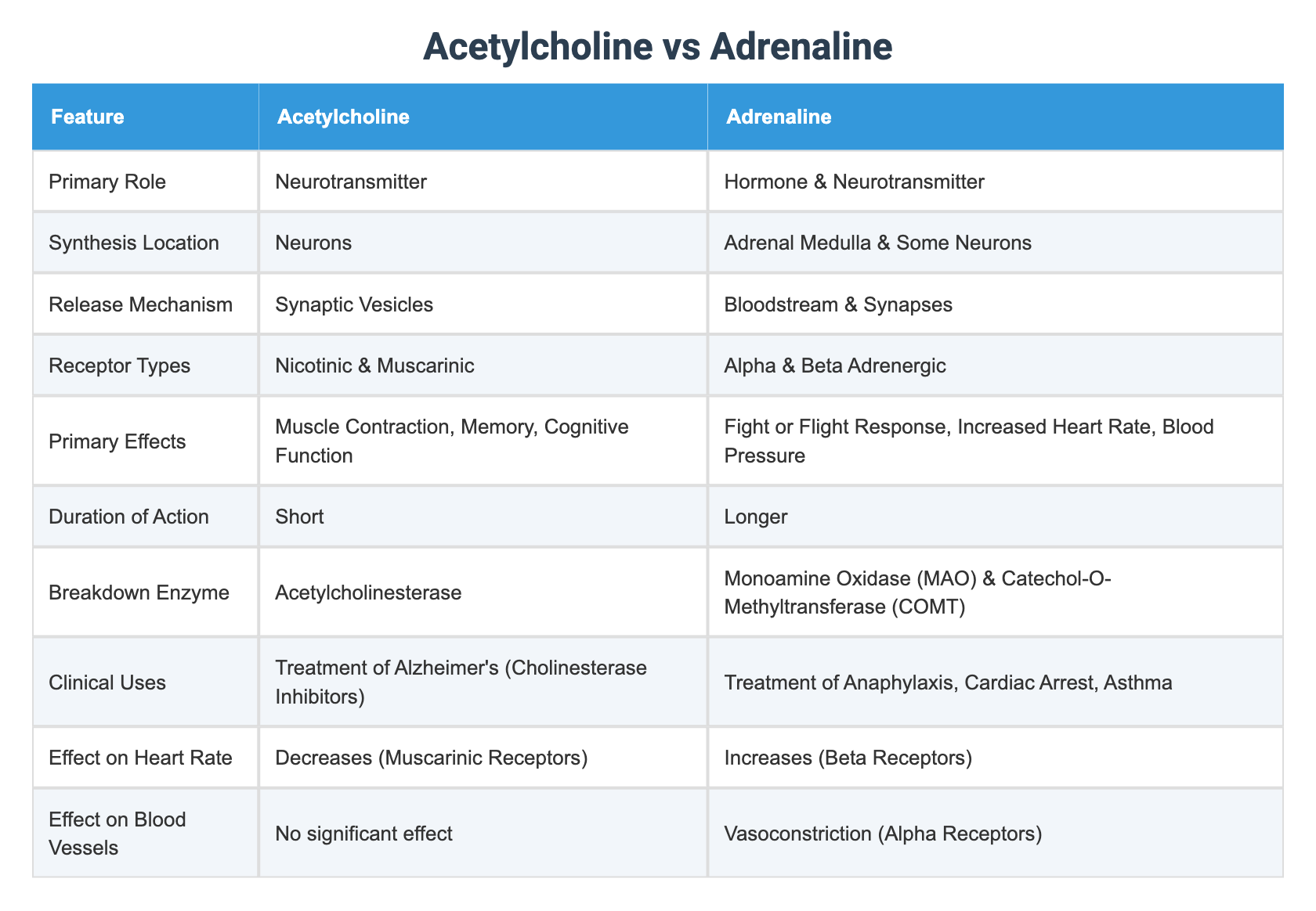Acetylcholine vs Adrenaline