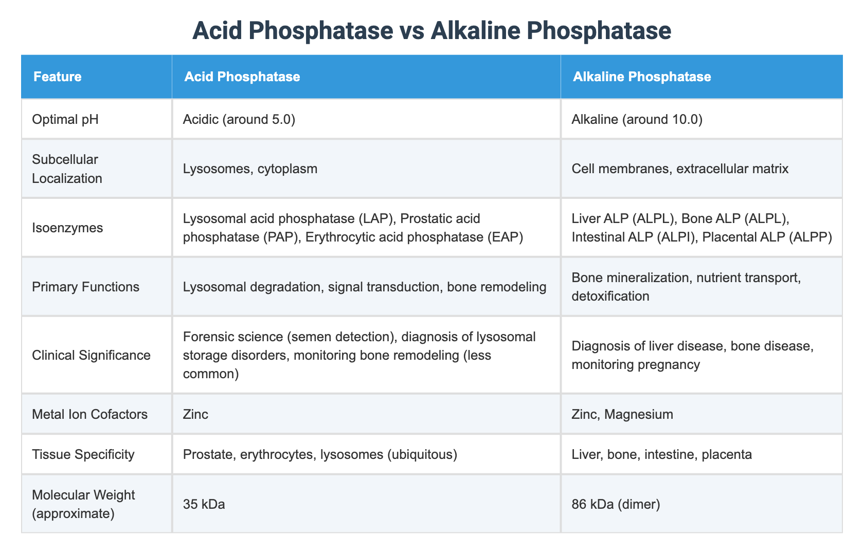 Acid Phosphatase vs Alkaline Phosphatase