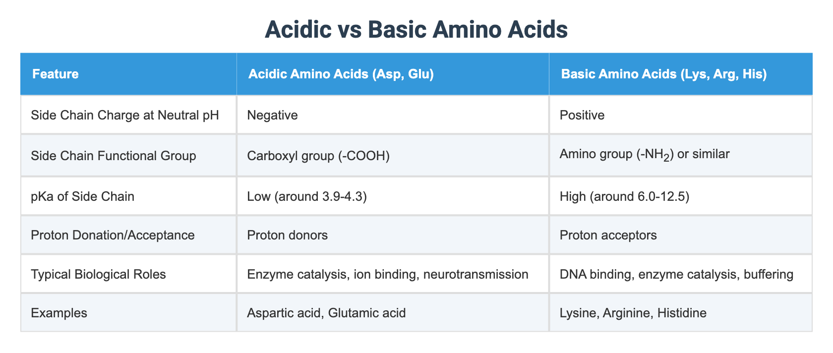 Acidic vs Basic Amino Acids