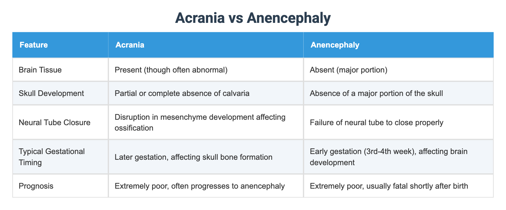 Acrania vs Anencephaly