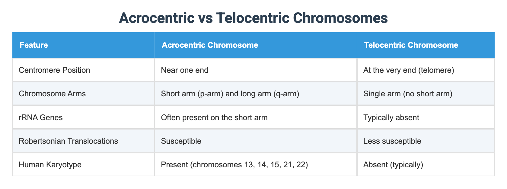 Acrocentric vs Telocentric Chromosomes