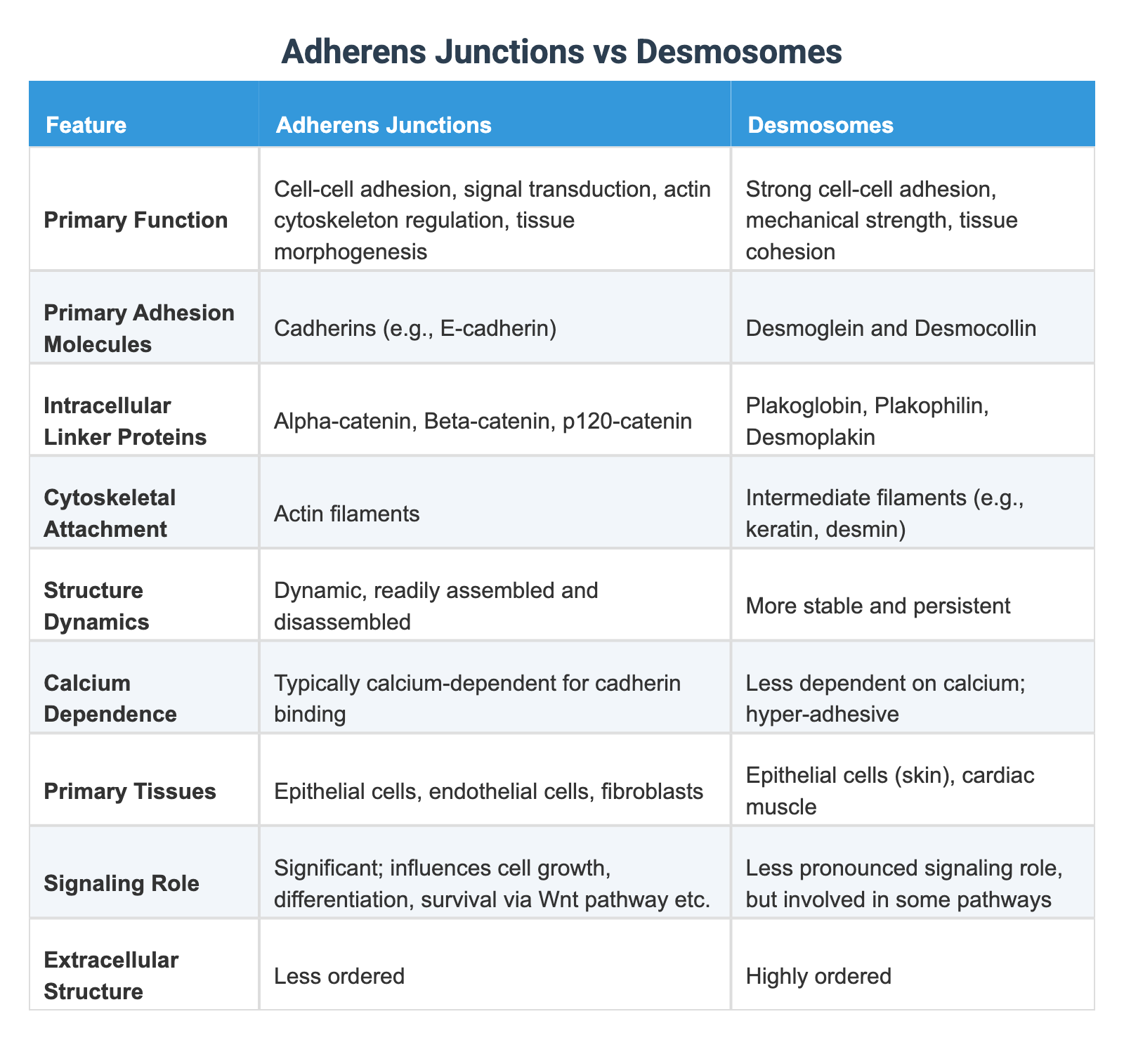 Adherens Junctions vs Desmosomes
