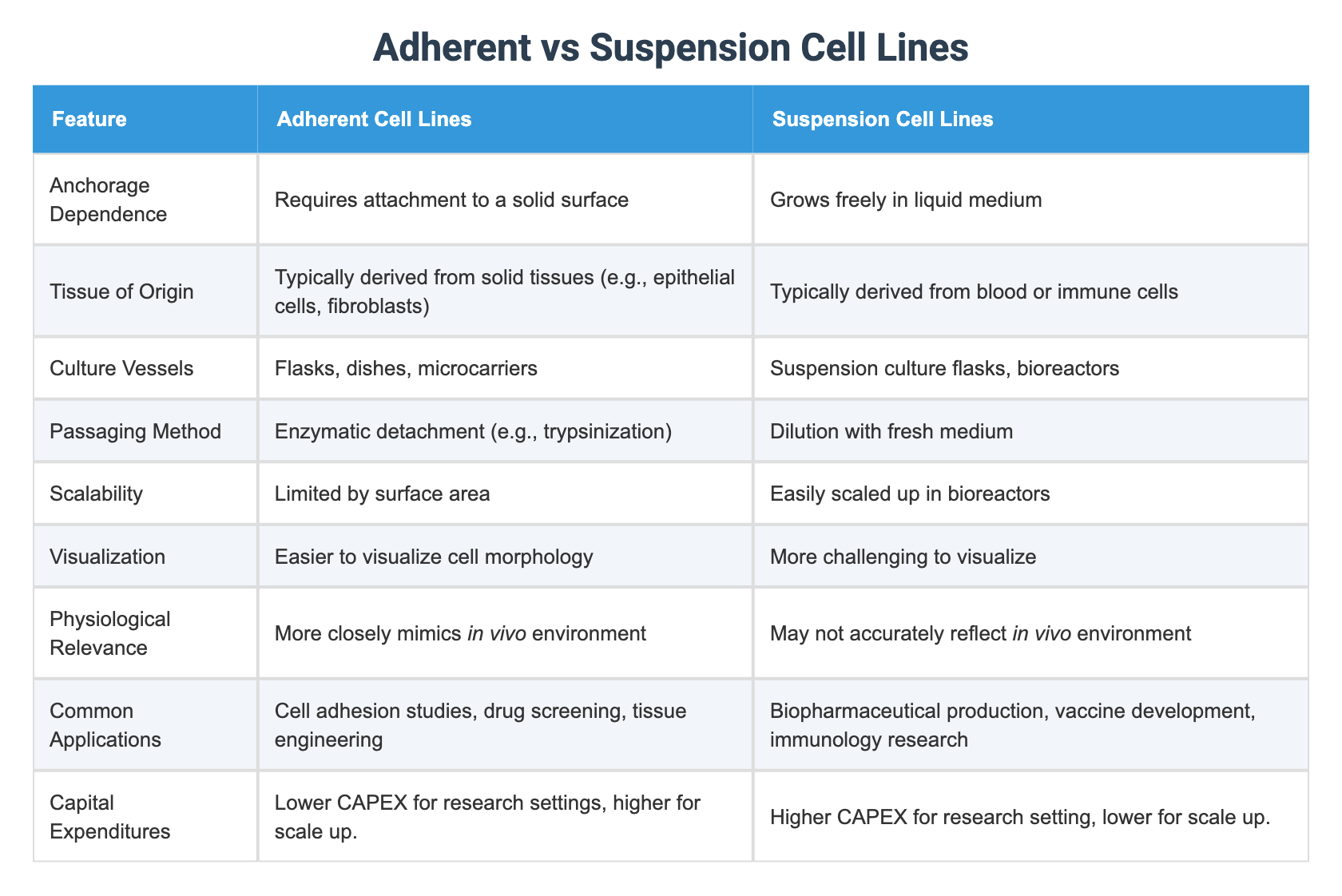 Adherent vs Suspension Cell Lines