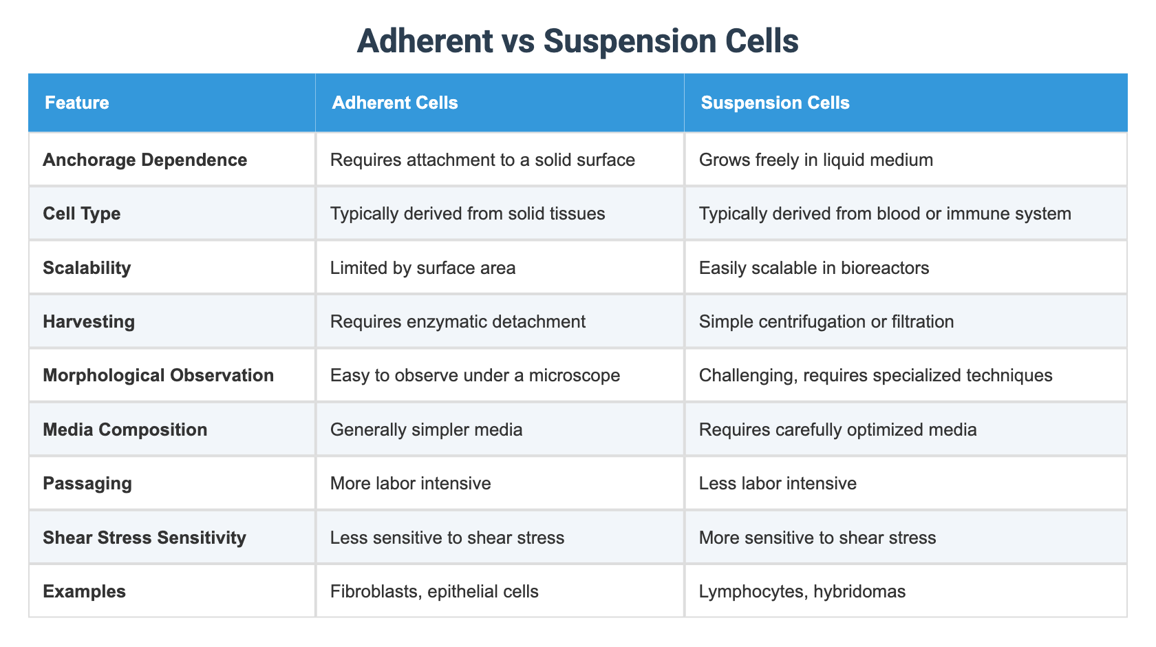 Adherent vs Suspension Cells