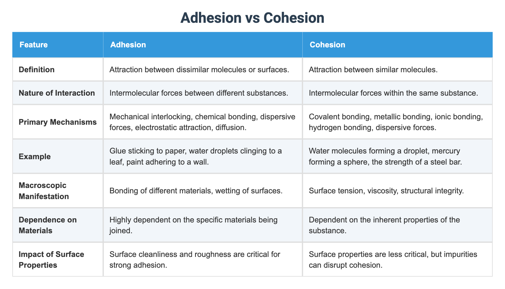 Adhesion vs Cohesion