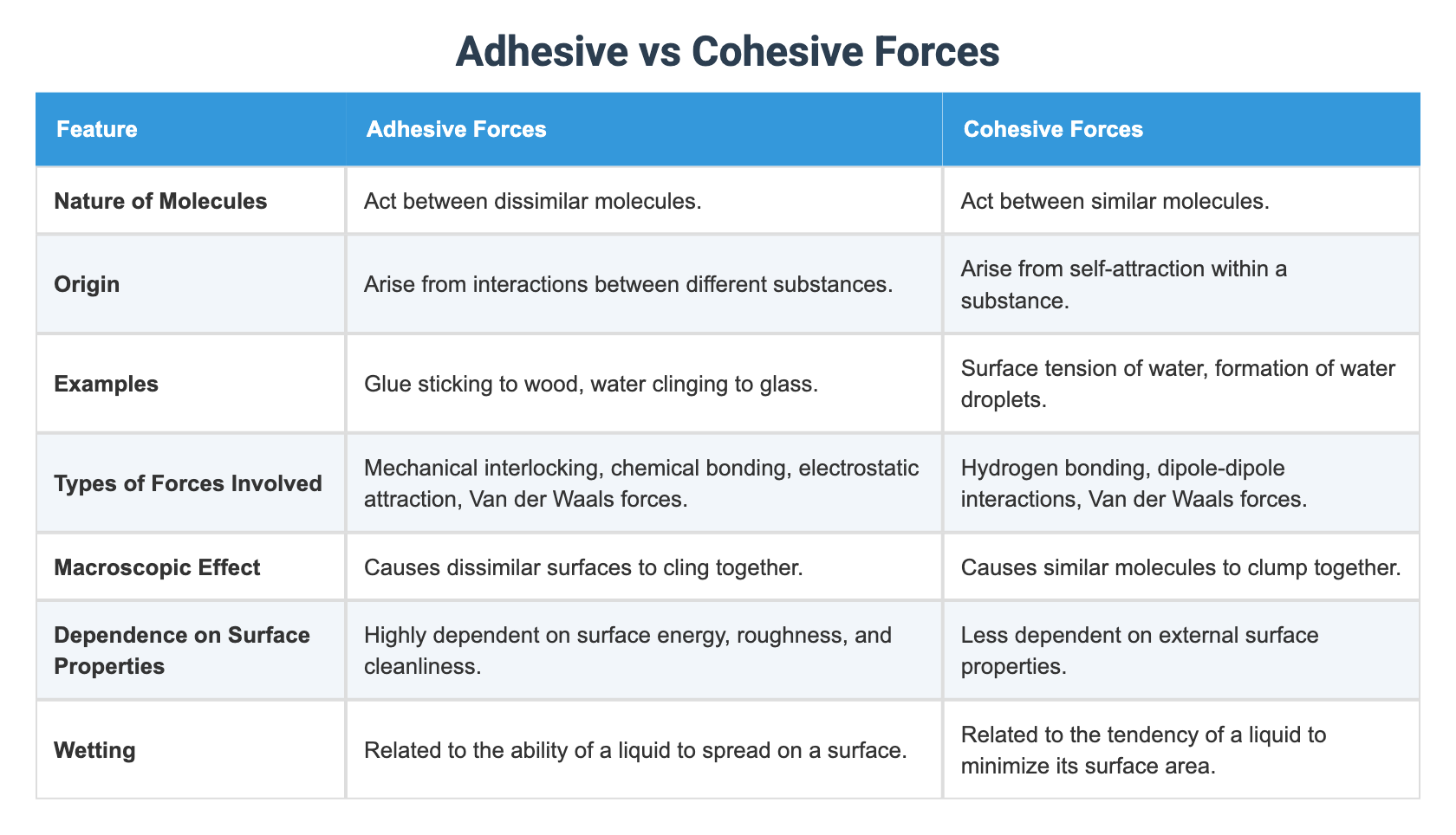 Adhesive vs Cohesive Forces