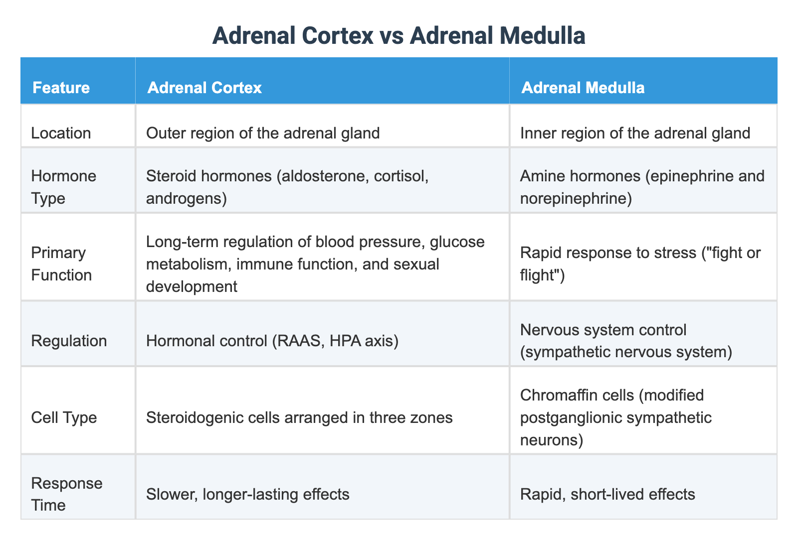 Adrenal Cortex vs Adrenal Medulla