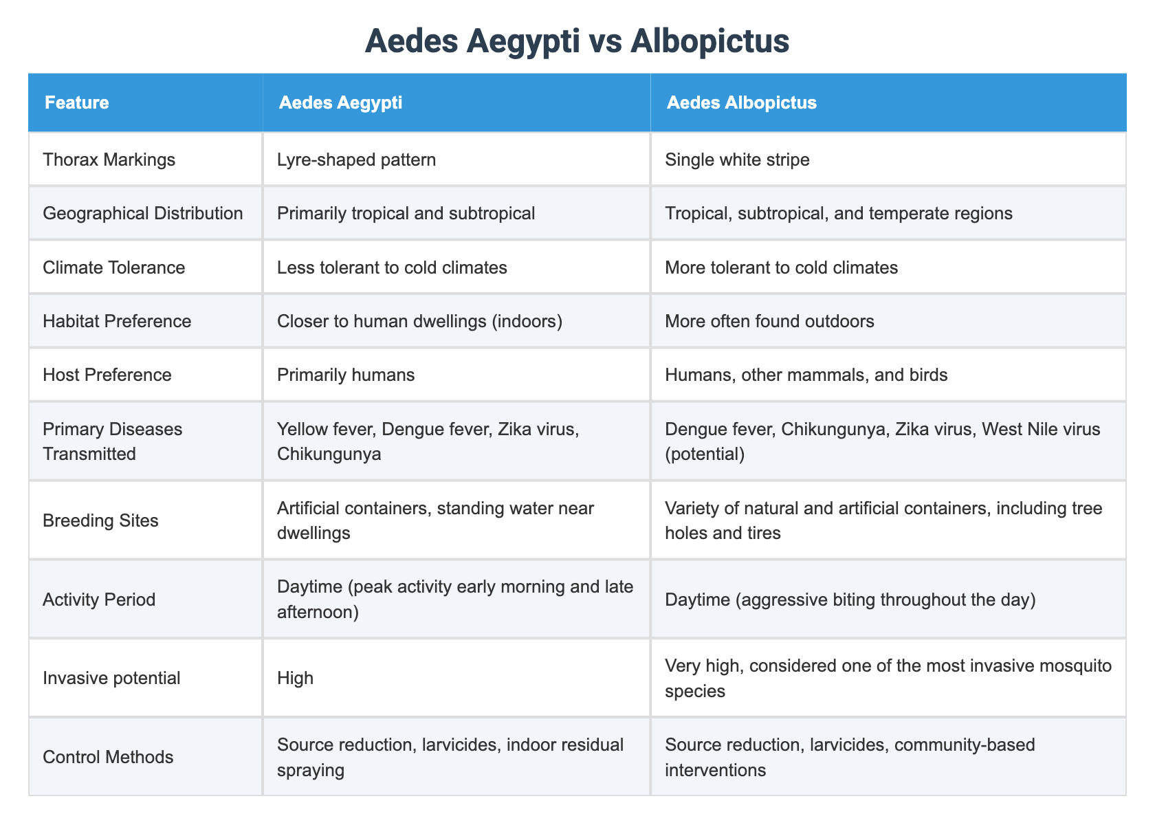 Aedes Aegypti vs Albopictus