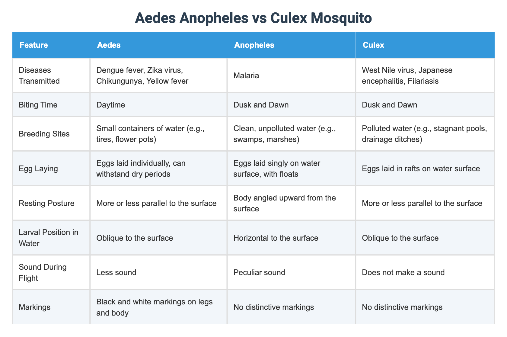 Aedes Anopheles vs Culex Mosquito