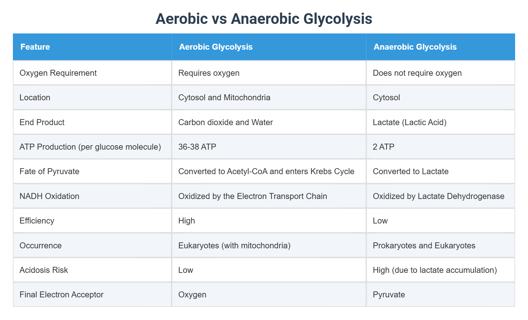 Aerobic vs Anaerobic Glycolysis
