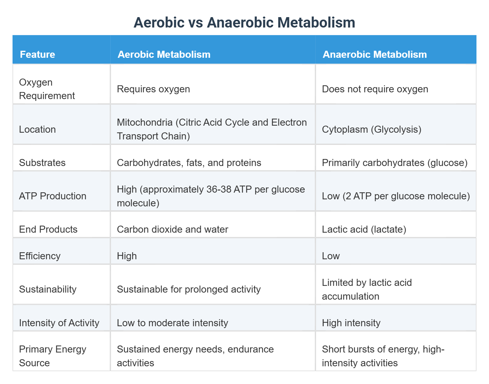 Aerobic vs Anaerobic Metabolism