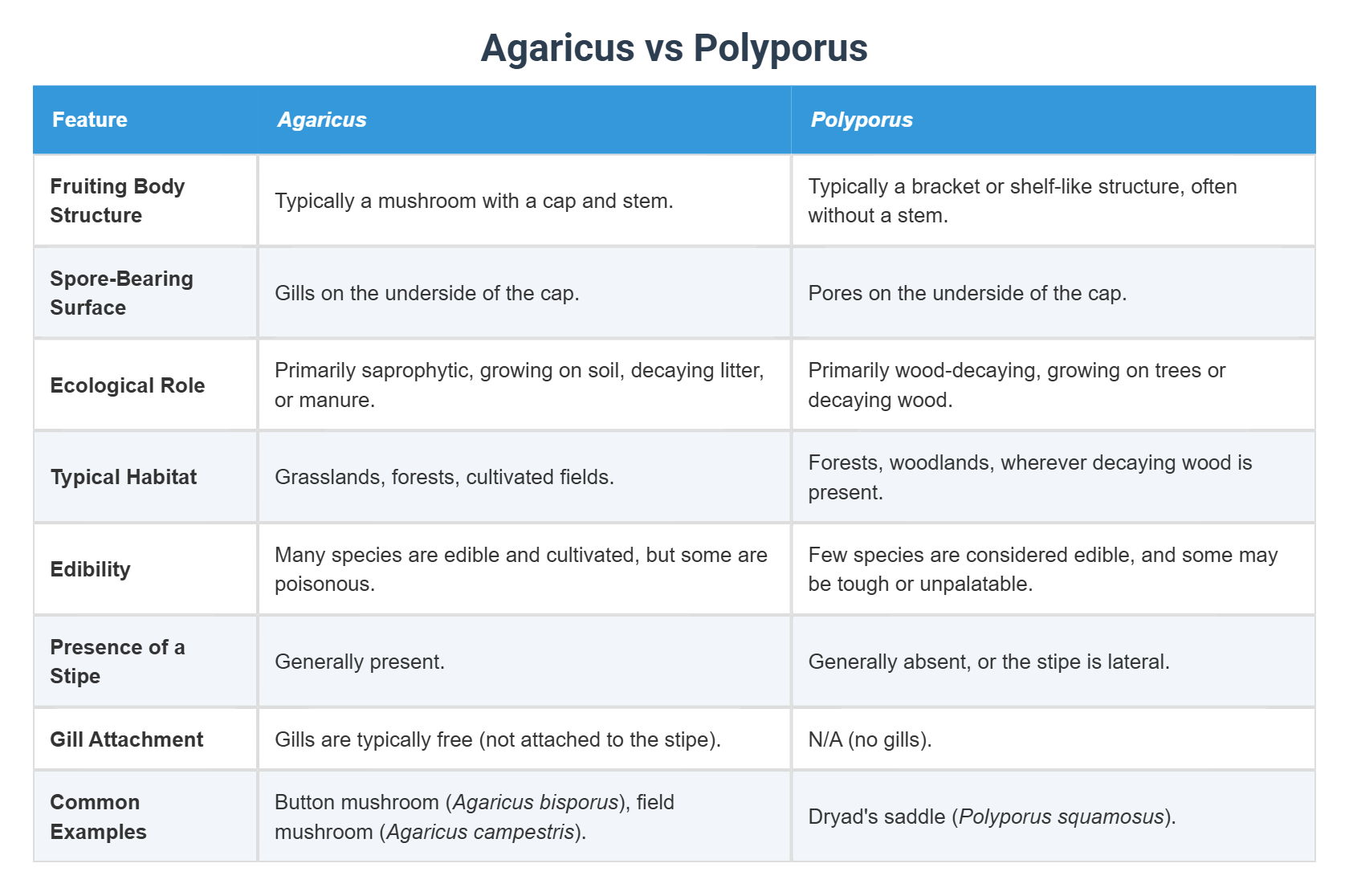 Agaricus vs Polyporus