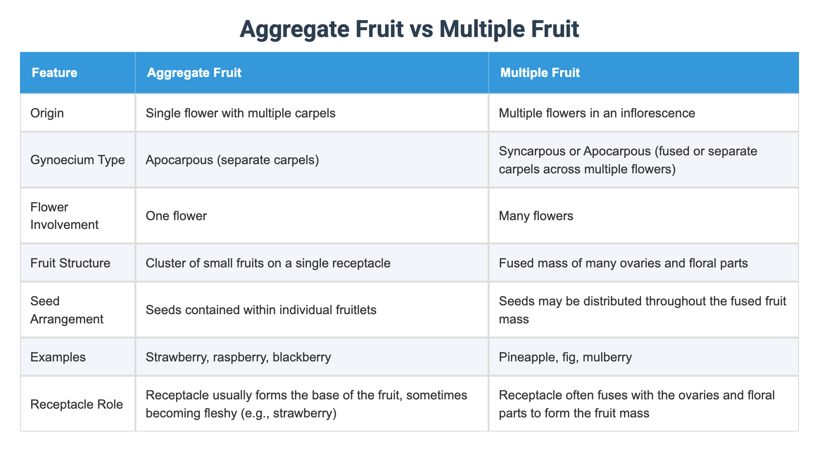 Aggregate Fruit vs Multiple Fruit