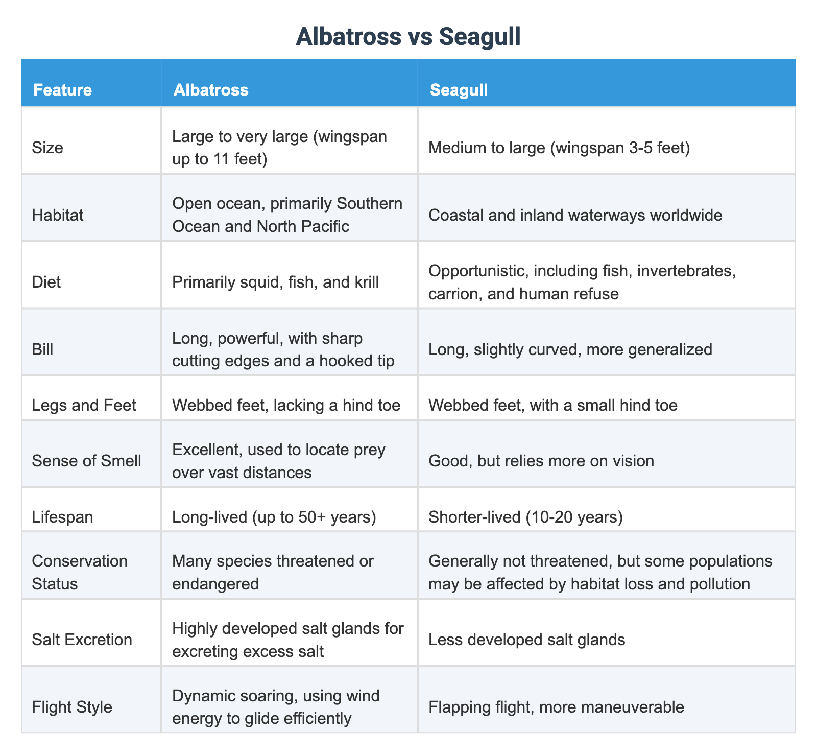 Albatross vs Seagull