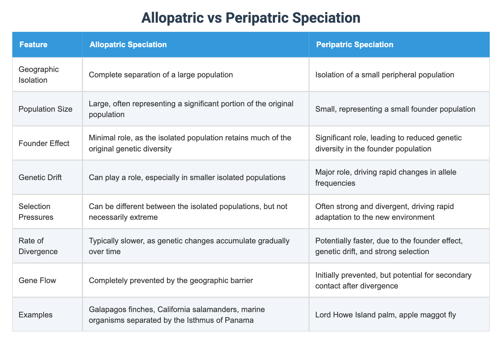 Allopatric vs Peripatric Speciation