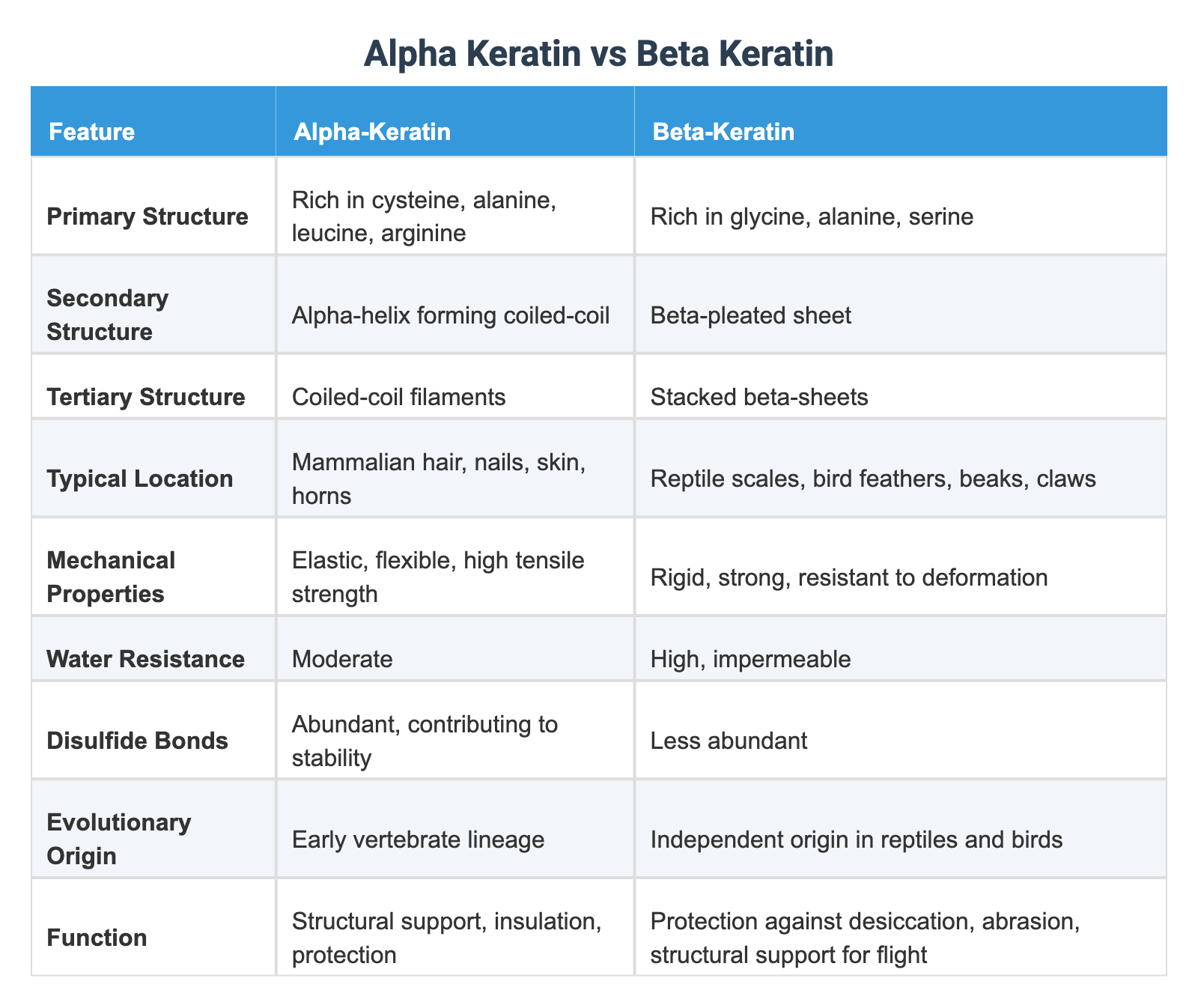Alpha Keratin vs Beta Keratin
