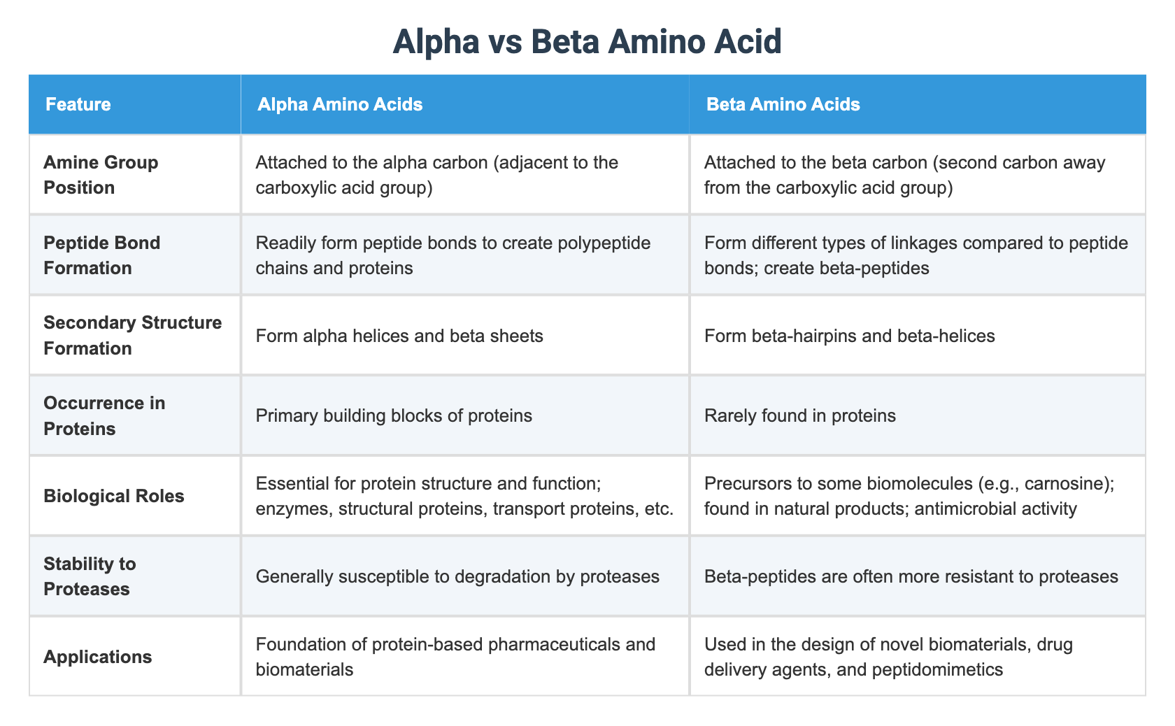 Alpha vs Beta Amino Acid