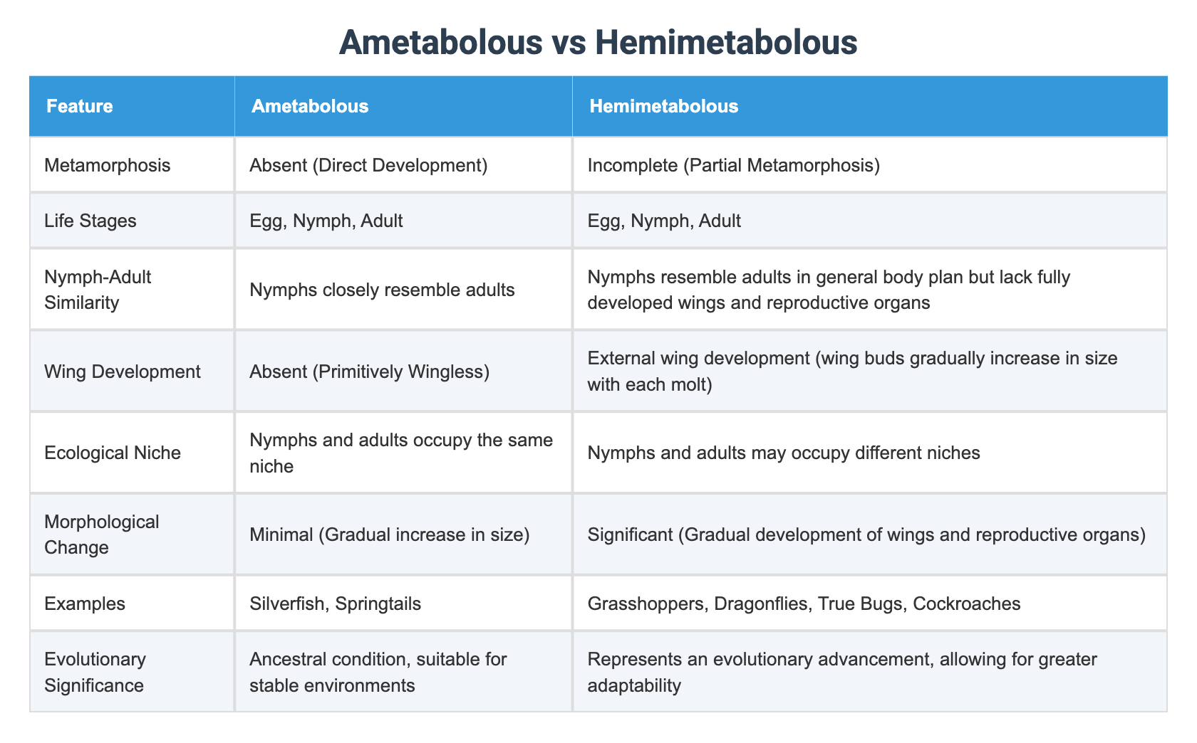 Ametabolous vs Hemimetabolous