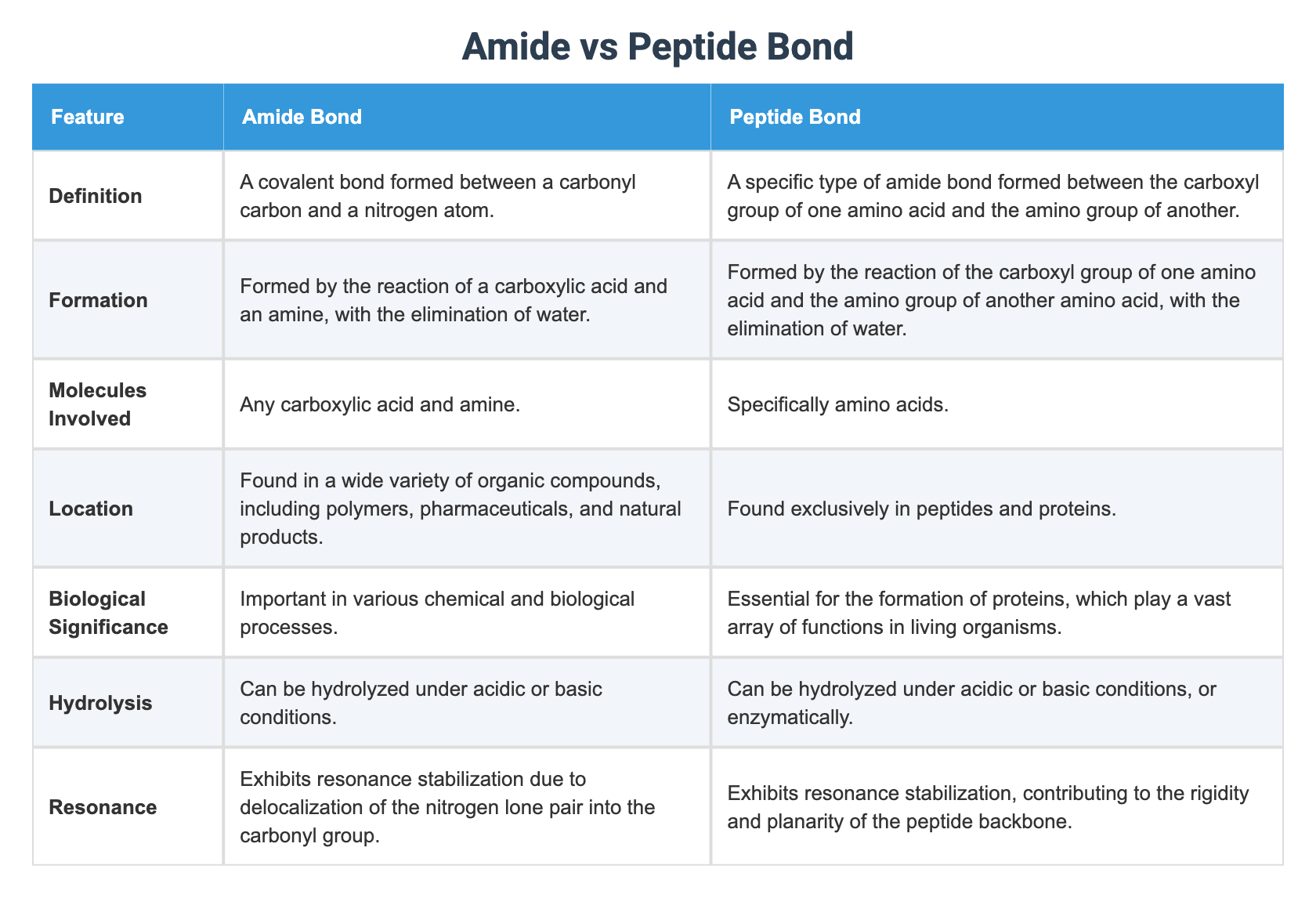 Amide vs Peptide Bond