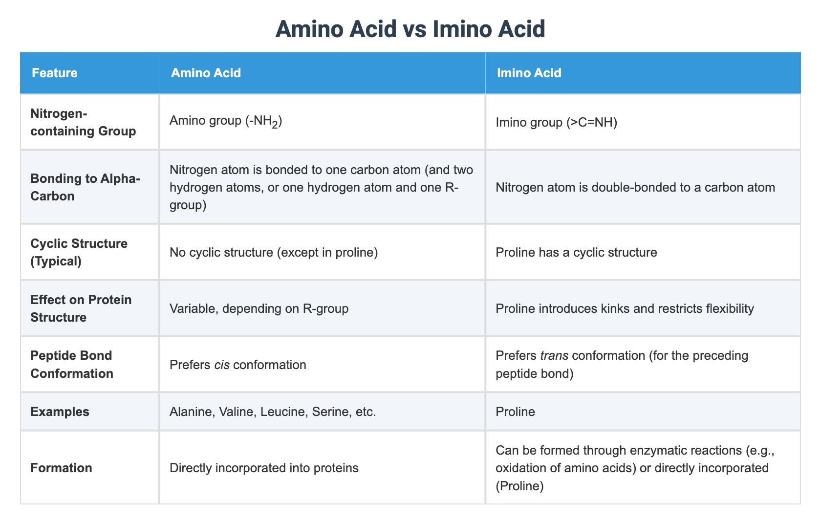Amino Acid vs Imino Acid