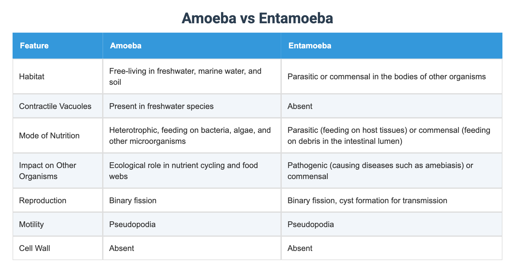 Amoeba vs Entamoeba