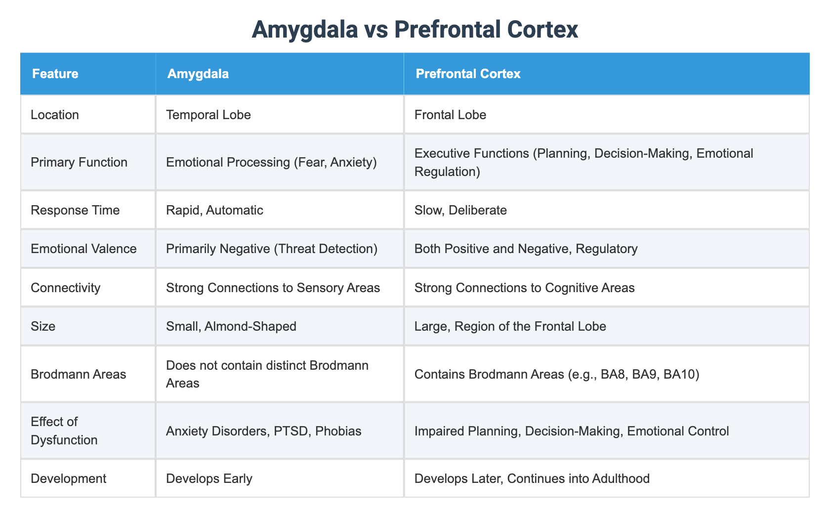 Amygdala vs Prefrontal Cortex