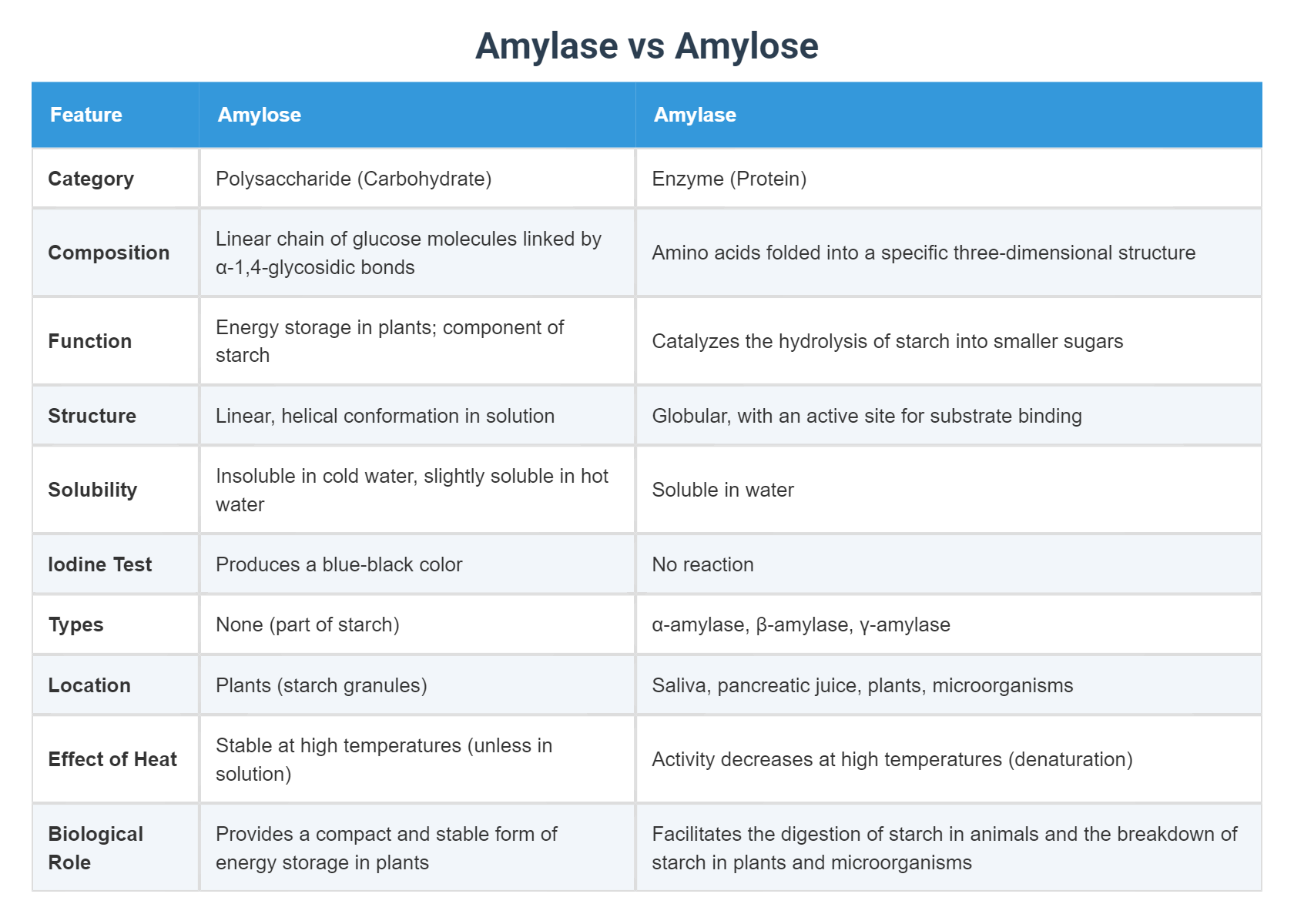 Amylase vs Amylose