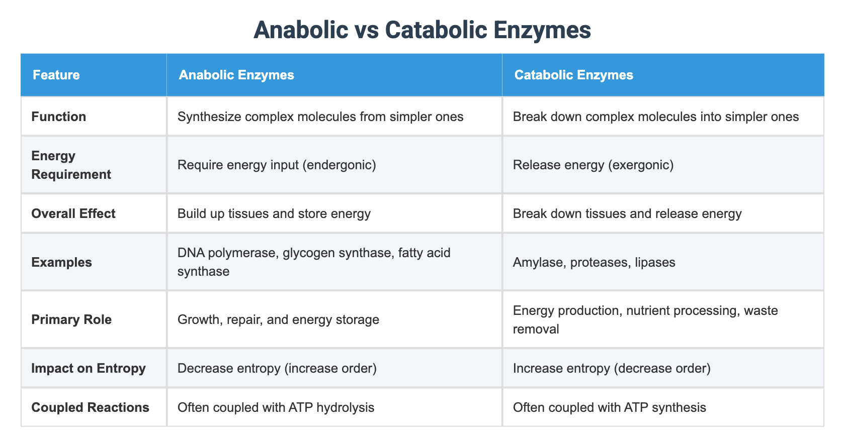 Anabolic vs Catabolic Enzymes