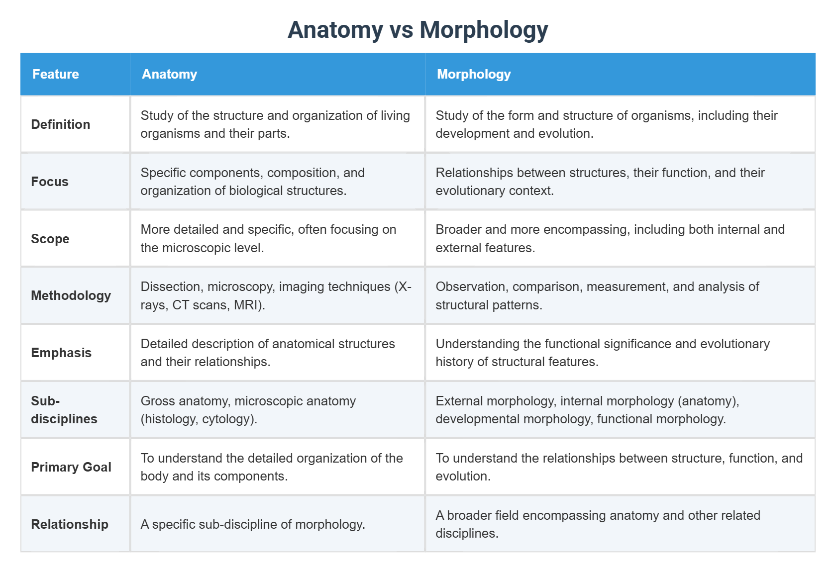 Anatomy vs Morphology