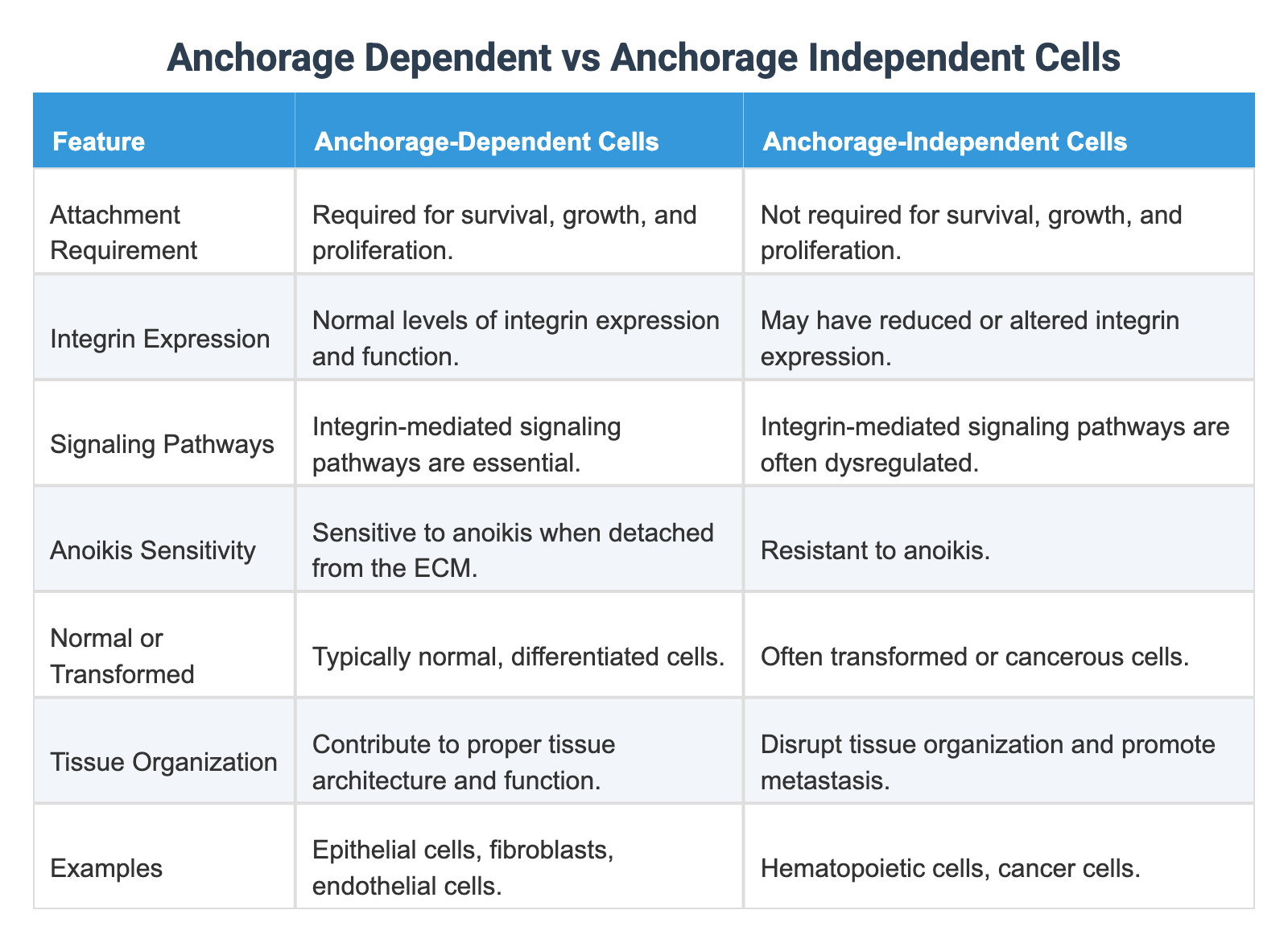 Anchorage Dependent vs Anchorage Independent Cells