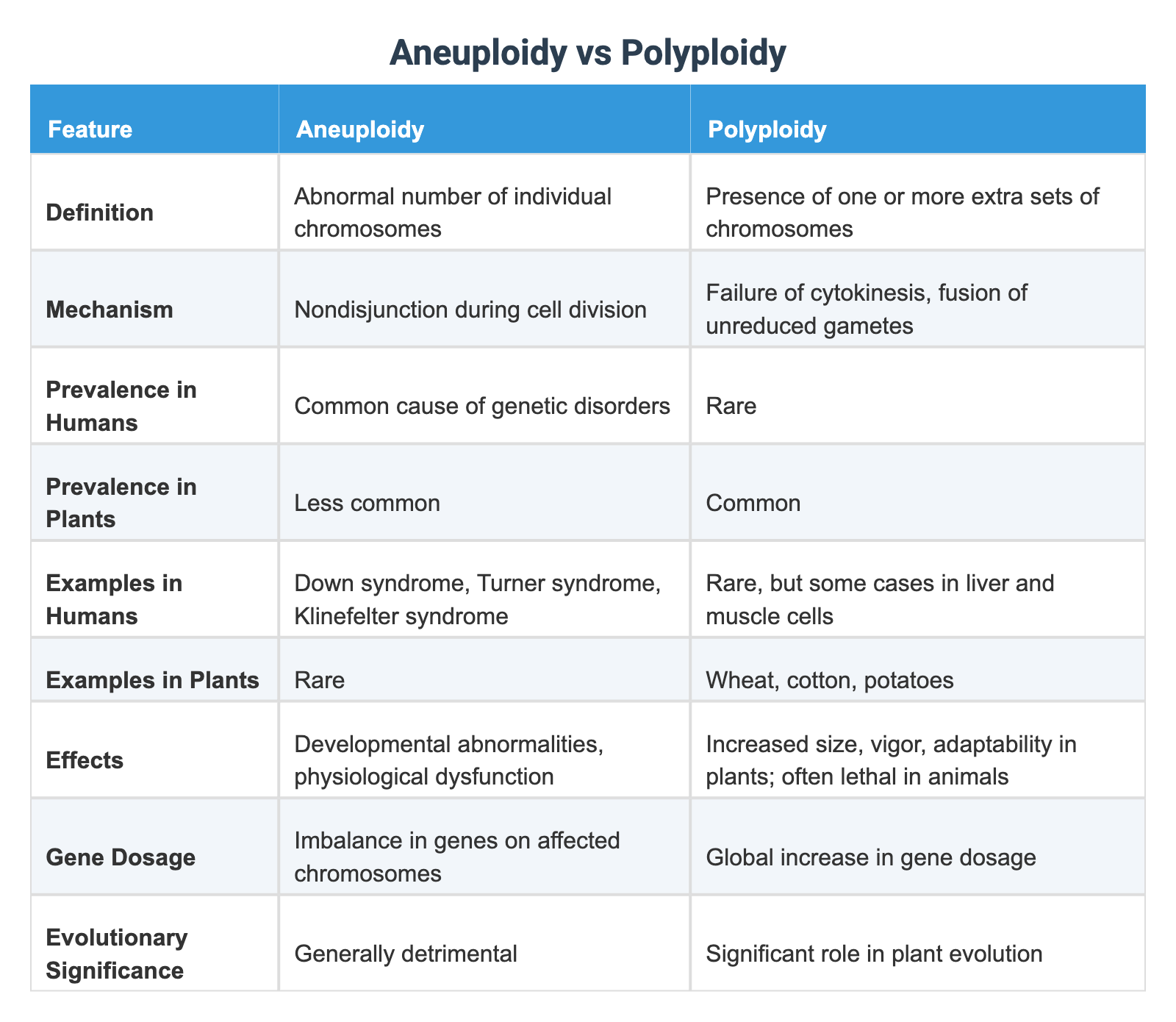 Aneuploidy vs Polyploidy
