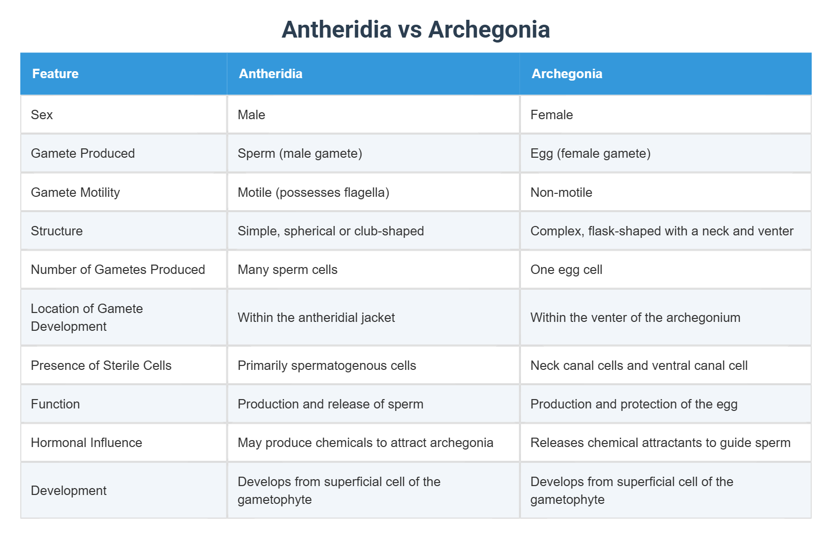 Antheridia vs Archegonia