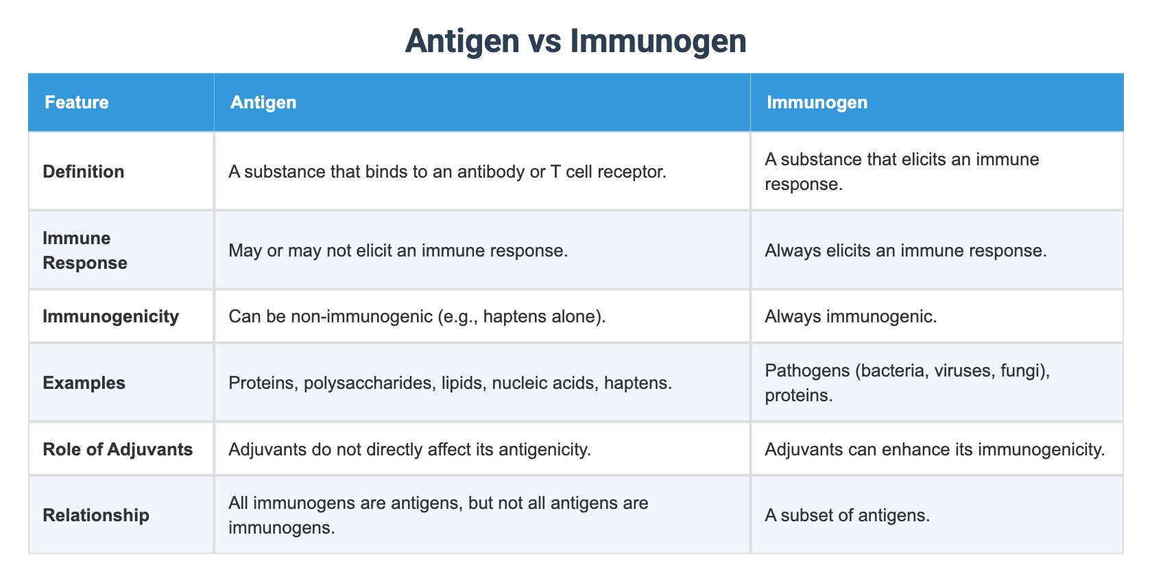 Antigen vs Immunogen
