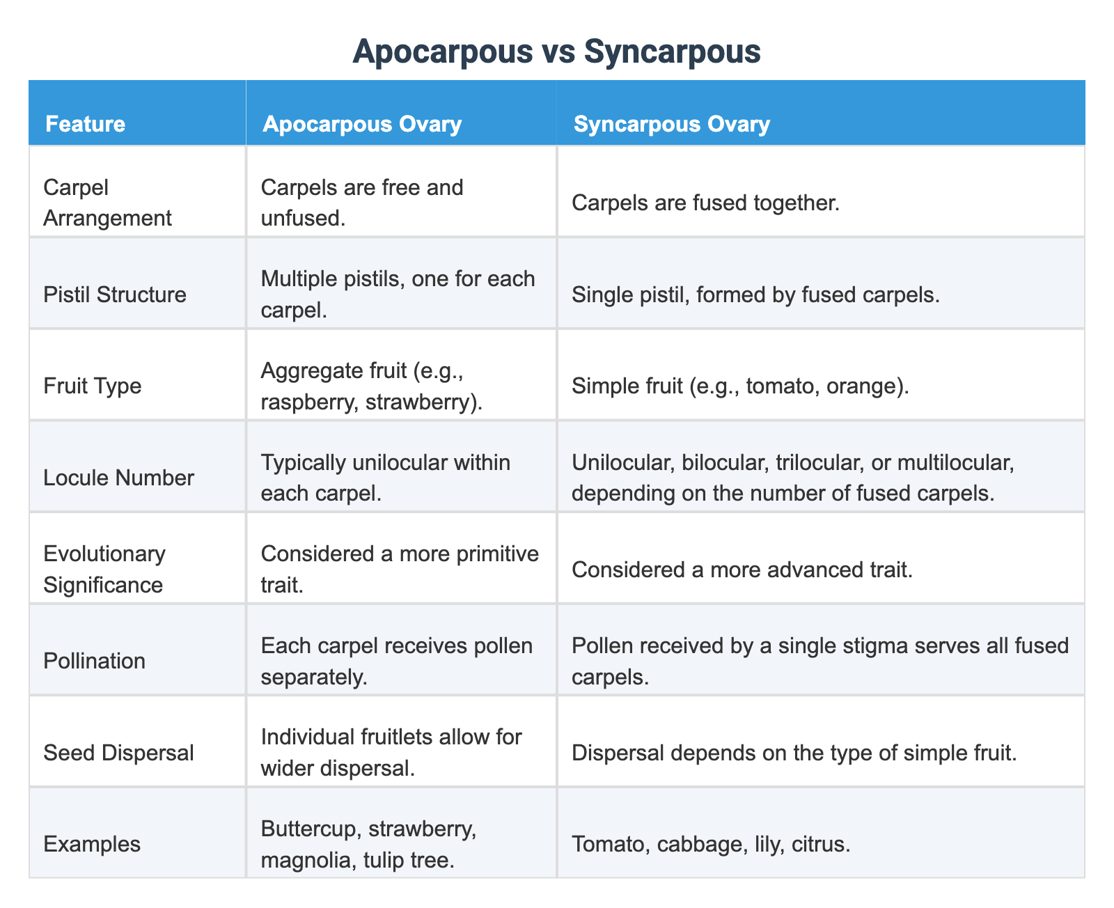 Apocarpous vs Syncarpous