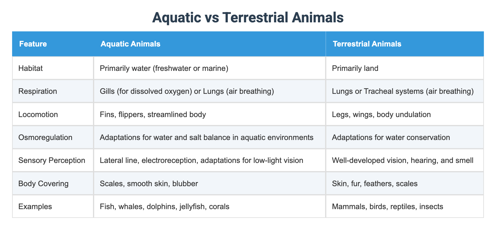 Aquatic vs Terrestrial Animals