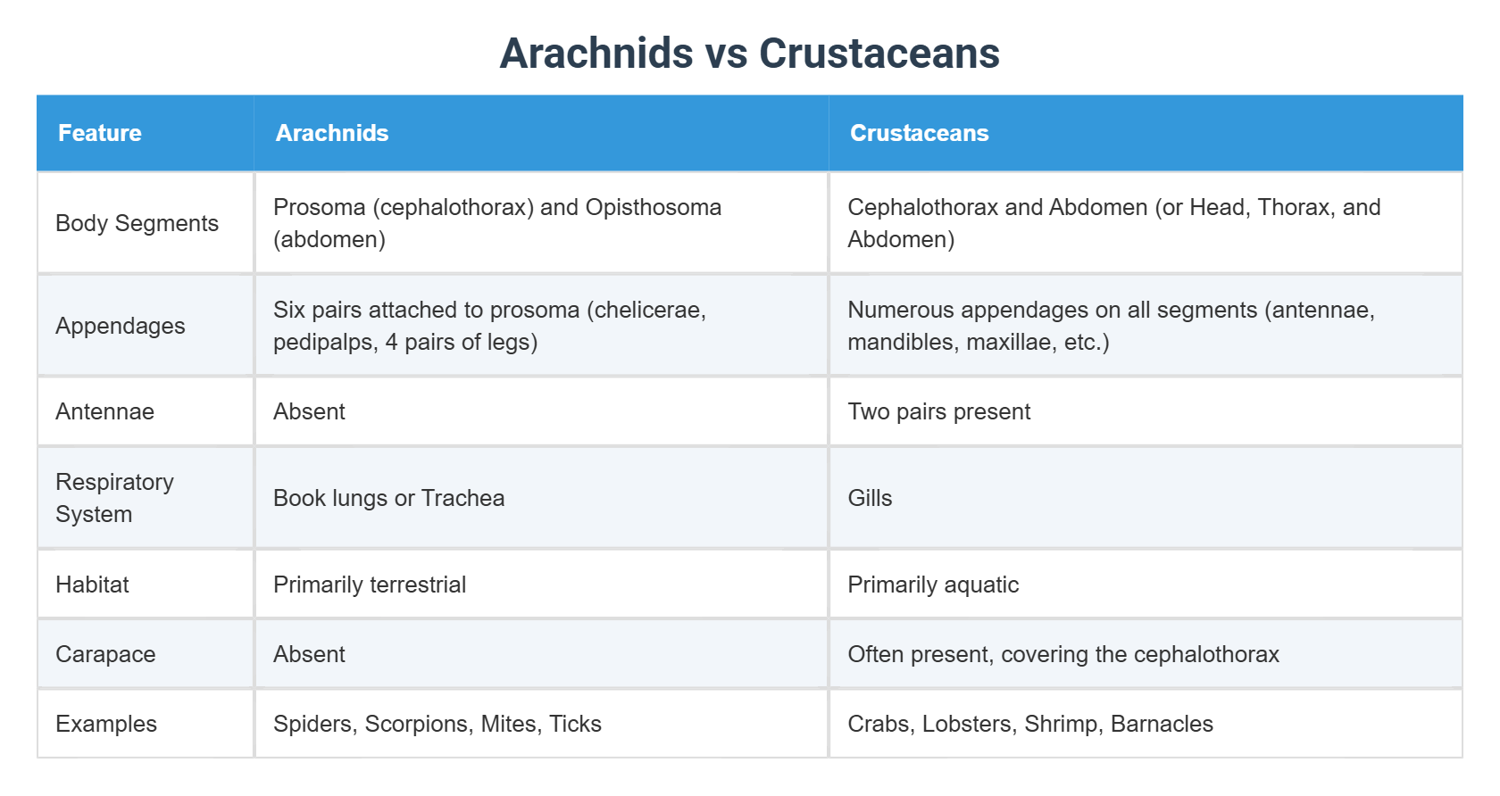 Arachnids vs Crustaceans