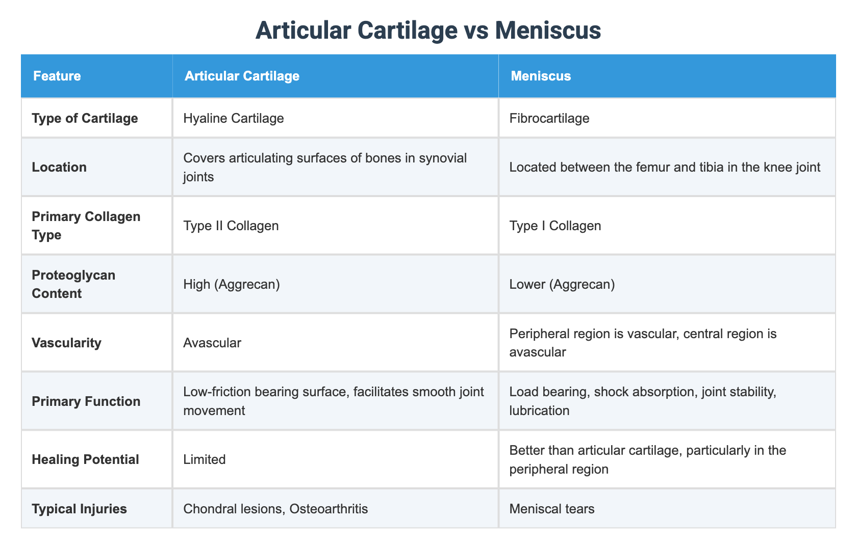 Articular Cartilage vs Meniscus