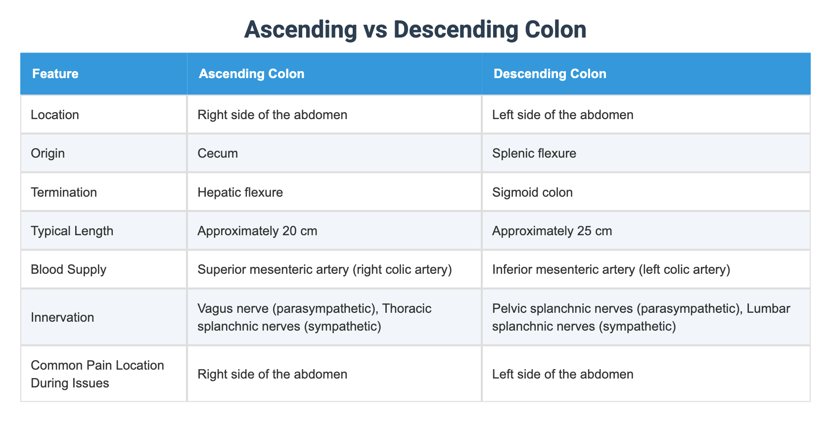 Ascending vs Descending Colon