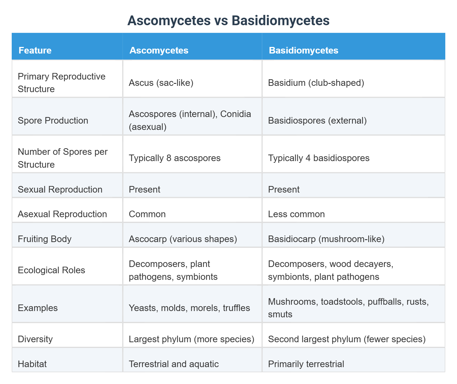 Ascomycetes vs Basidiomycetes