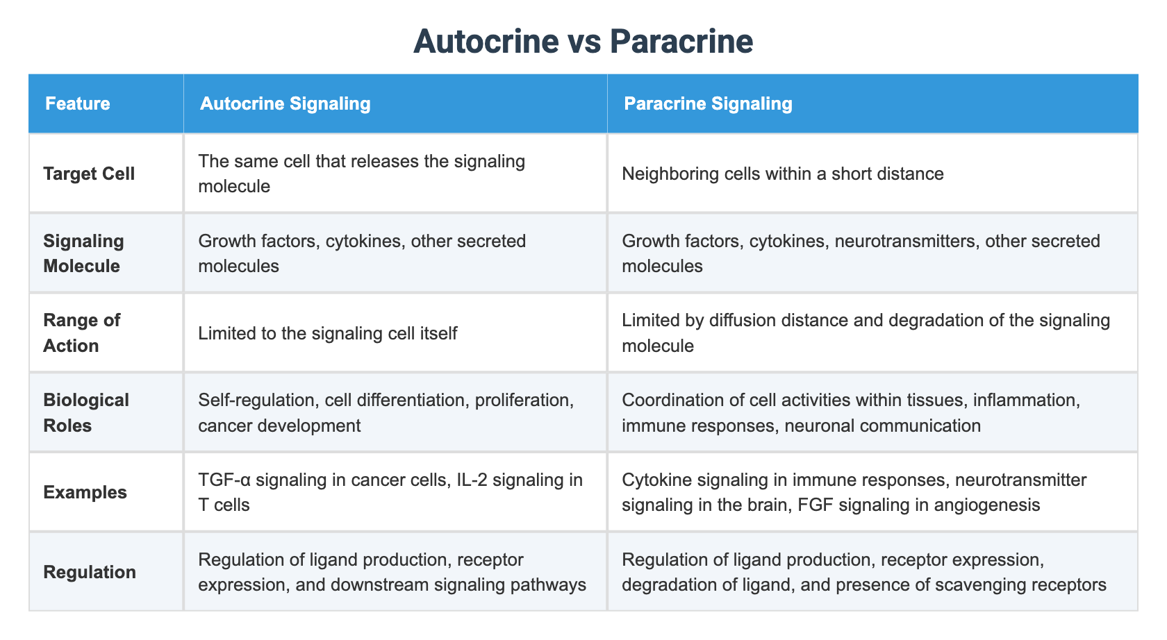 Autocrine vs Paracrine