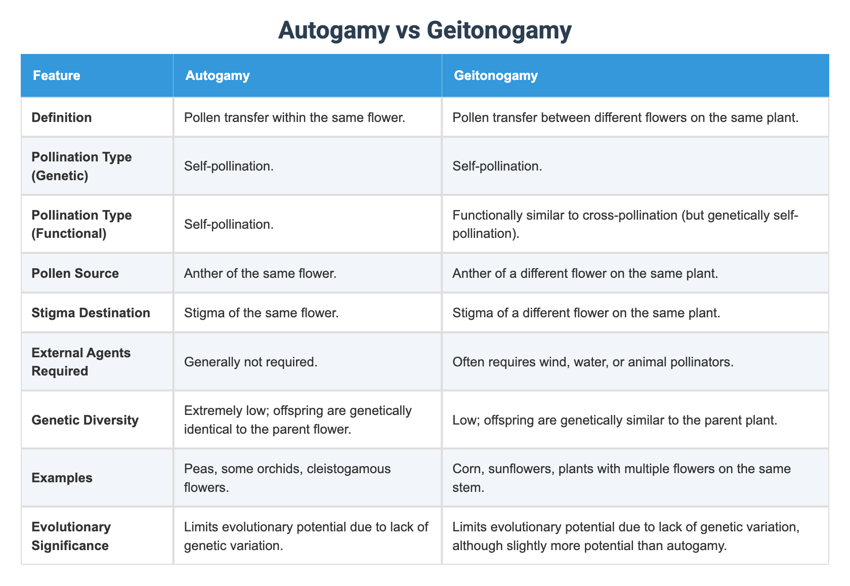 Autogamy vs Geitonogamy