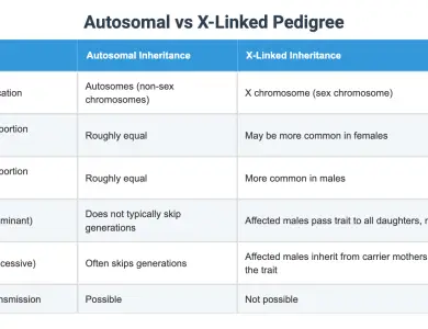 X linked vs Y linked Inheritance